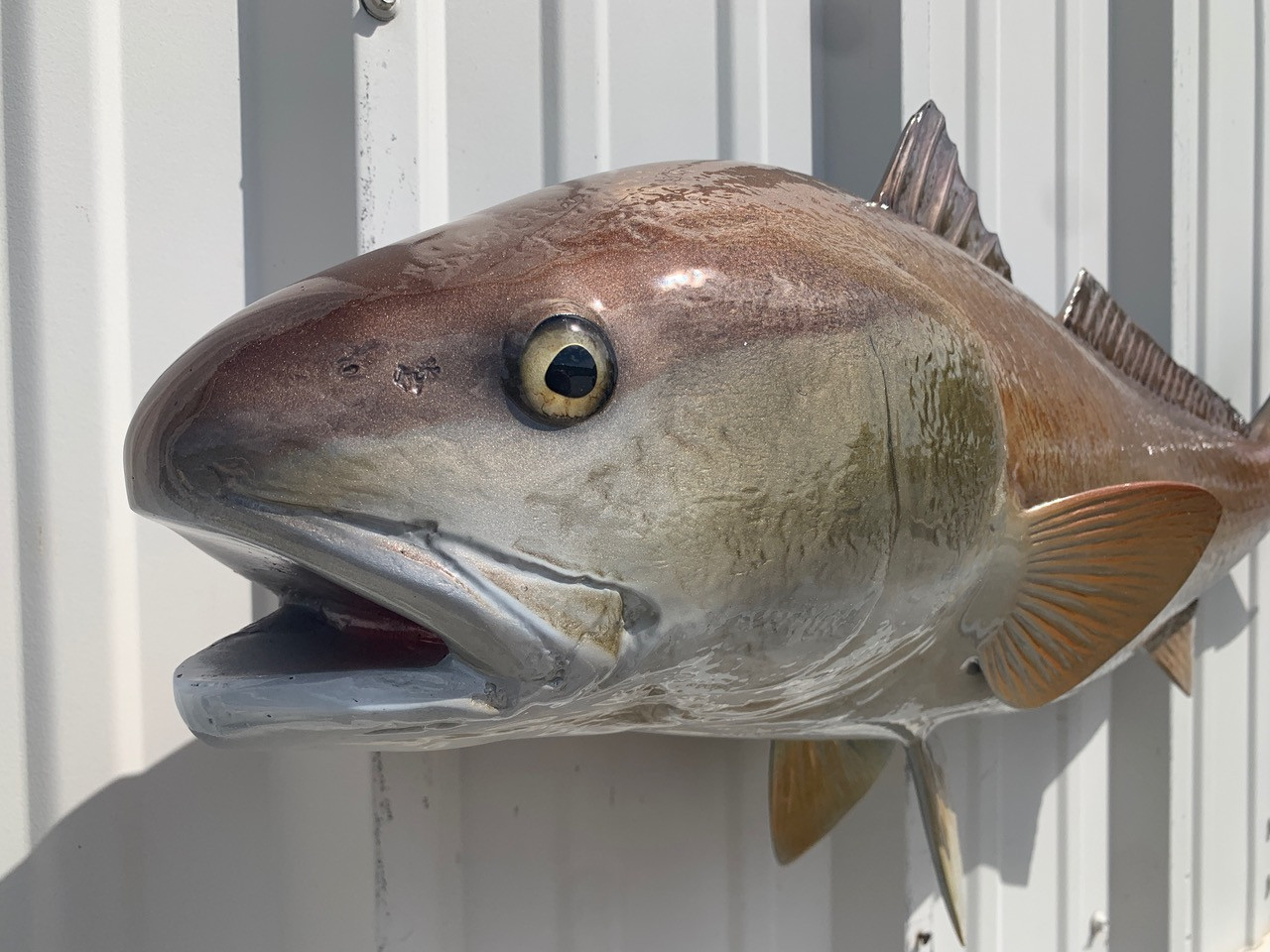 38 Inch Redfish Fish Mount Replica Reproduction For Sale