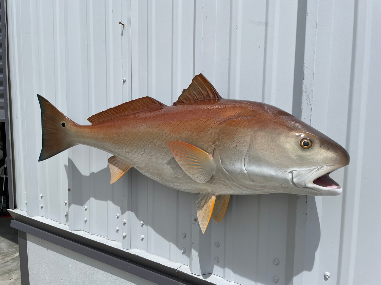 40 Inch Redfish Fish Mount Replica