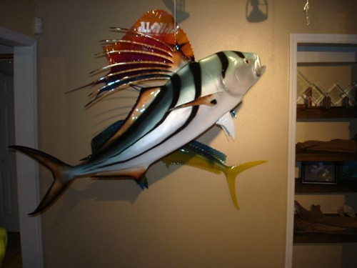 43 Inch Roosterfish 3D Suspension Mount Replica Reproduction For Sale