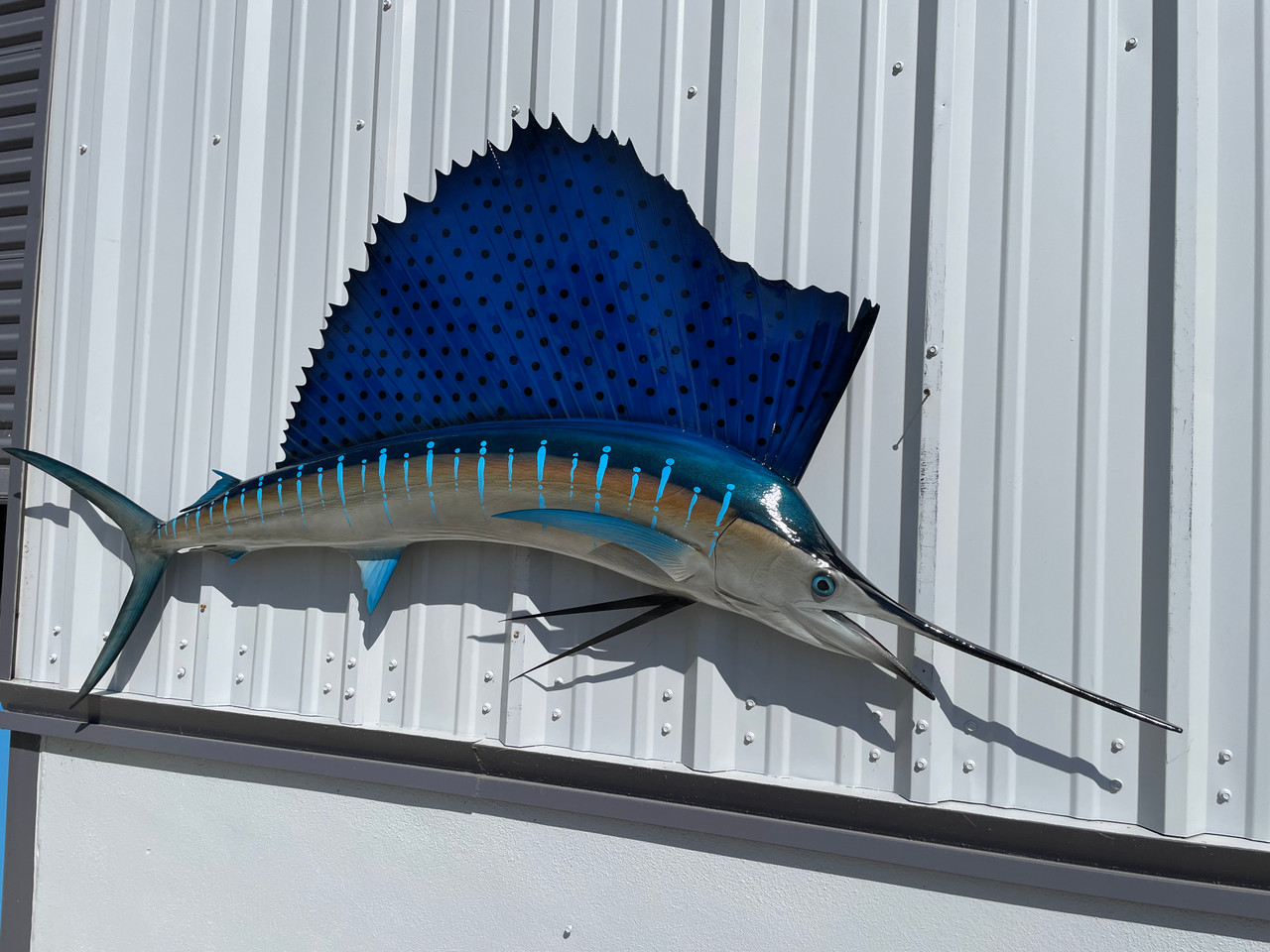 78 Inch Sailfish Fish Mount Replica Reproduction For Sale