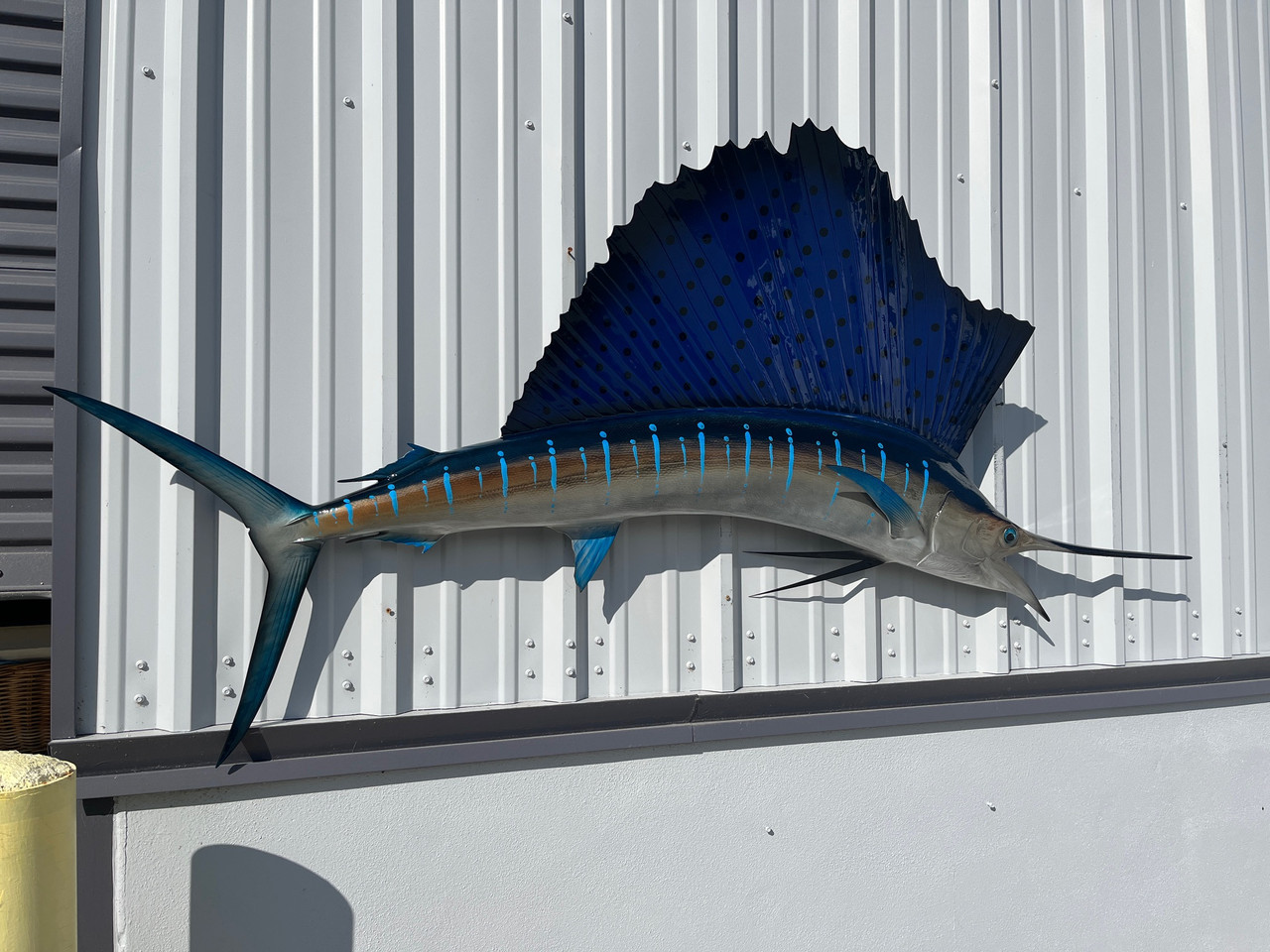 84 Inch Sailfish Fish Mount Replica For Sale And In Stock
