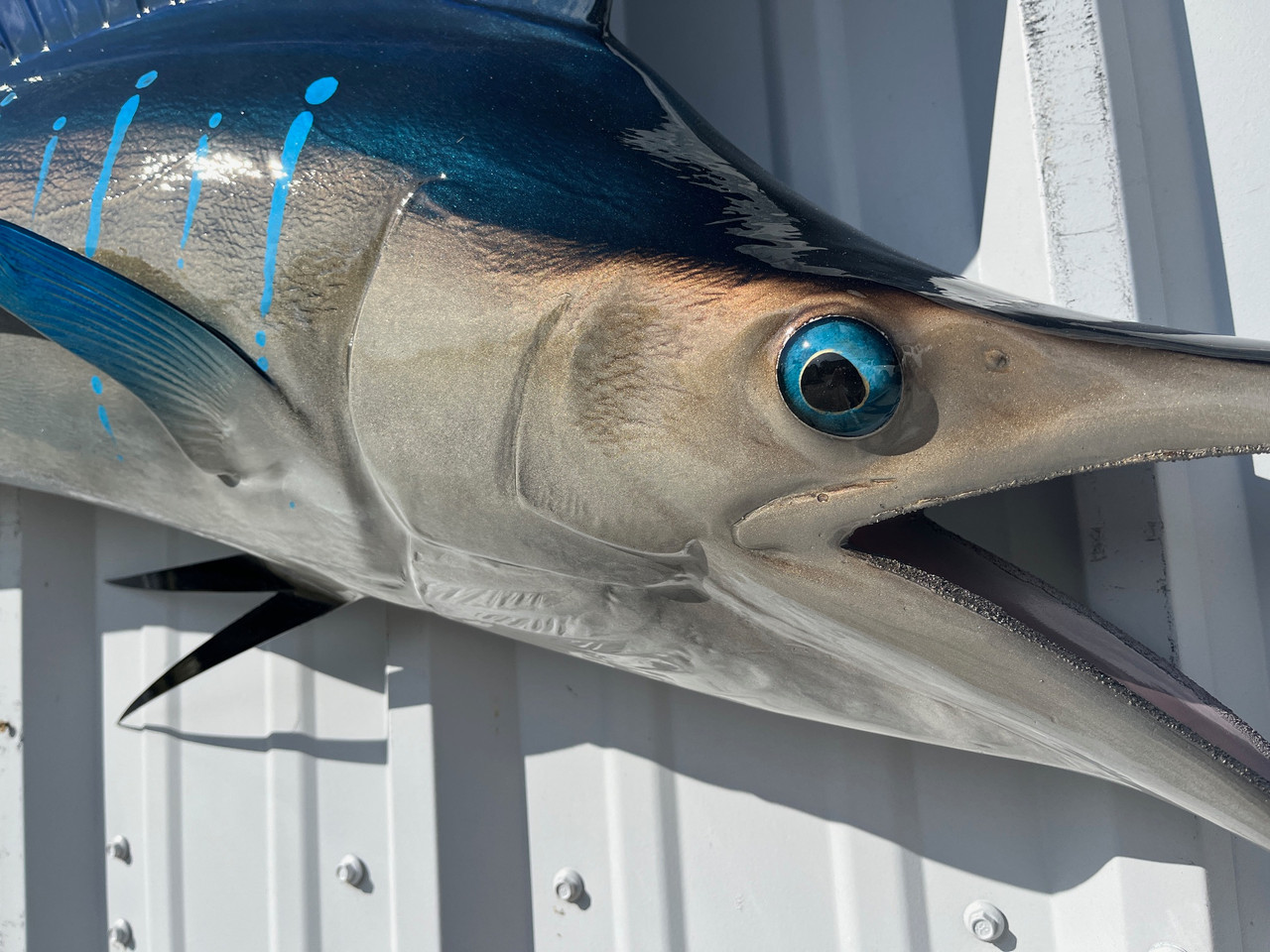84 Inch Sailfish Fish Mount Replica For Sale And In Stock