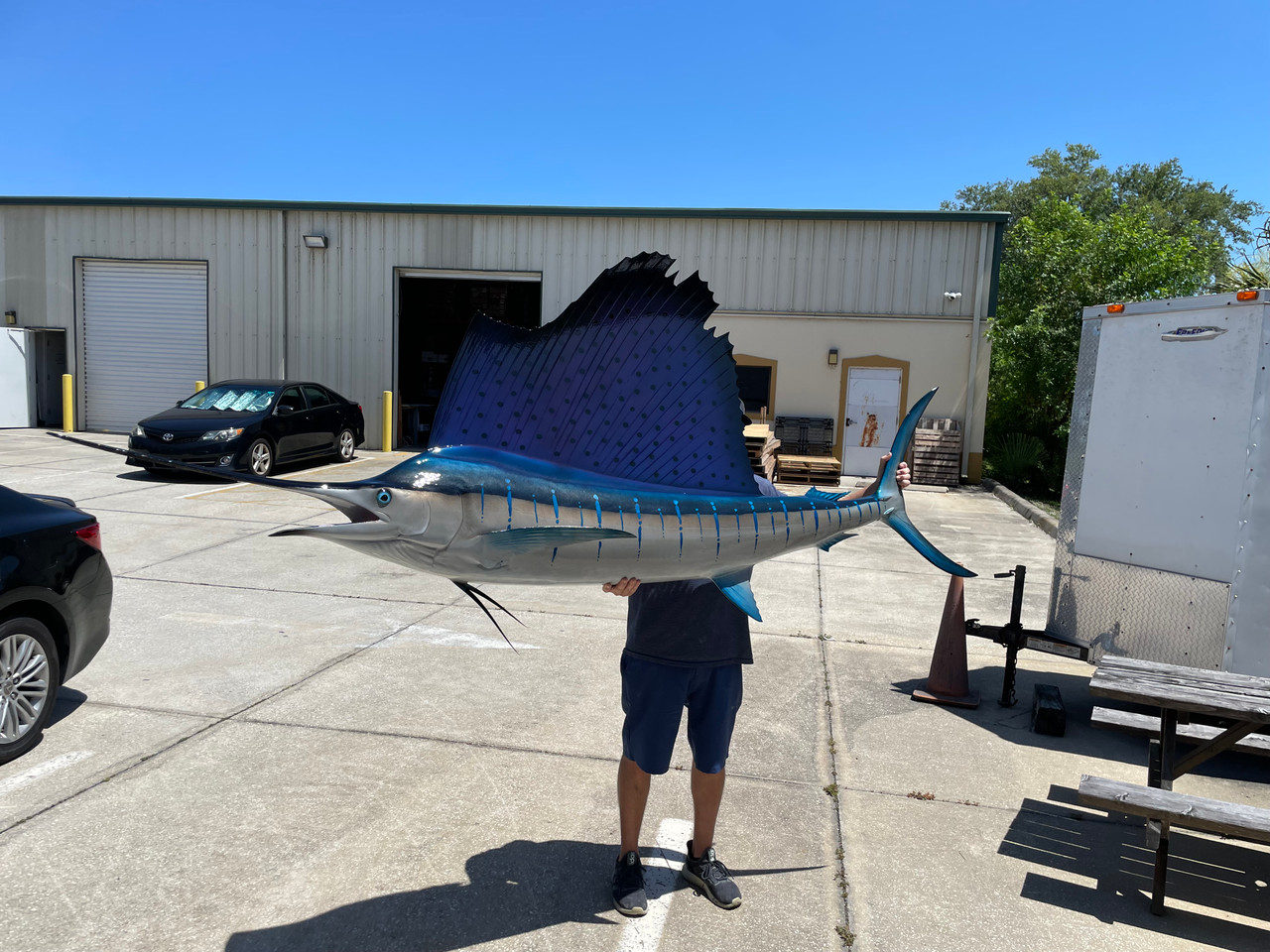 110 Inch Pacific Sailfish Fish Mount For Sale | 110 Inch Pacific ...
