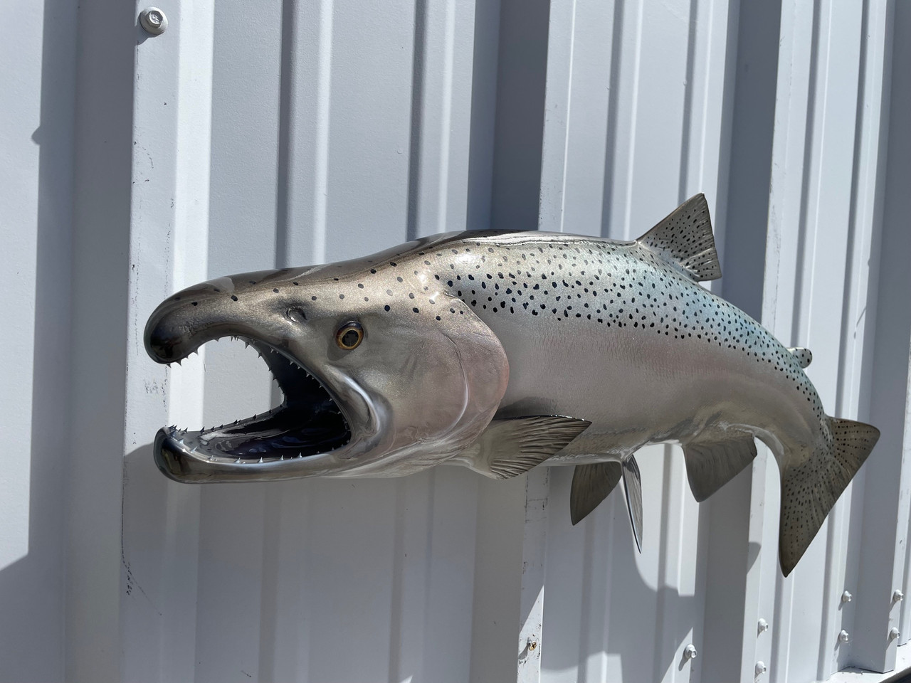 28 Inch Coho Salmon Fish Mount Two Sided Wall Mount Fish Replica