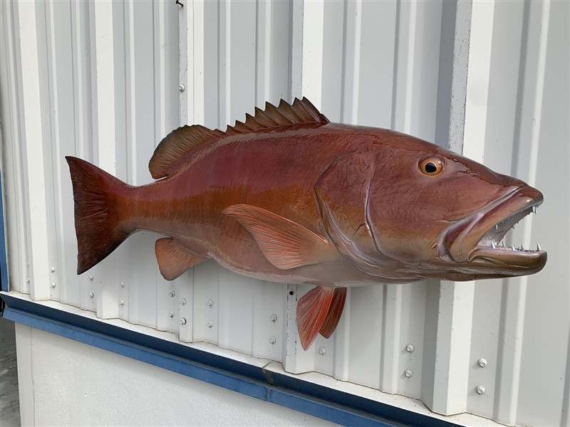 41 Inch Cubera Snapper Fish Mount Replica Reproduction For Sale