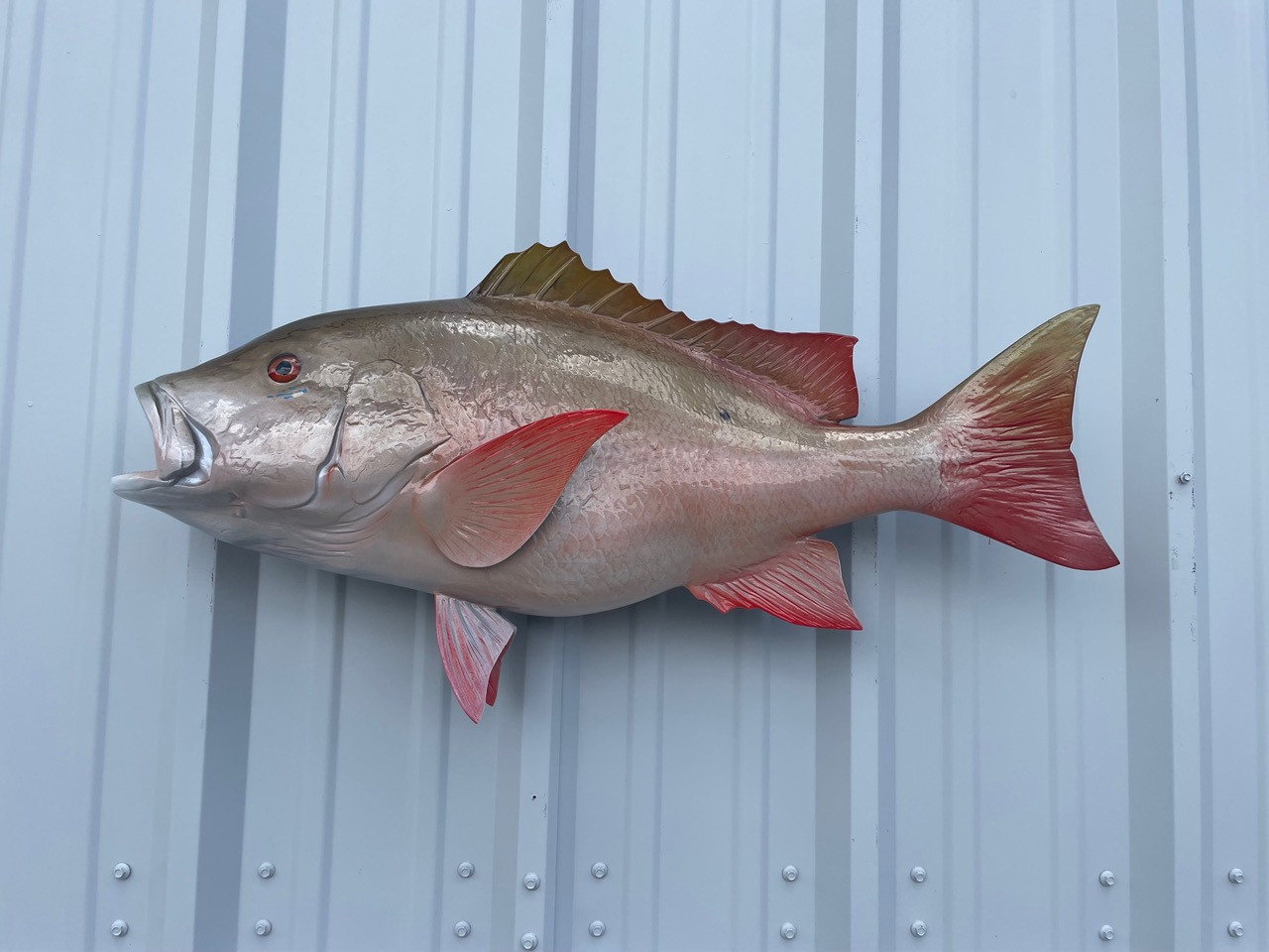 32 Inch In Stock Mutton Snapper Fish Mount | 32 Inch Mutton Snapper ...