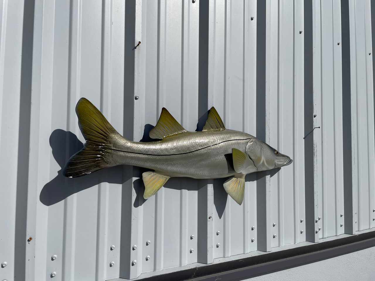 39 Inch Snook Half Sided Fish Mount Replica