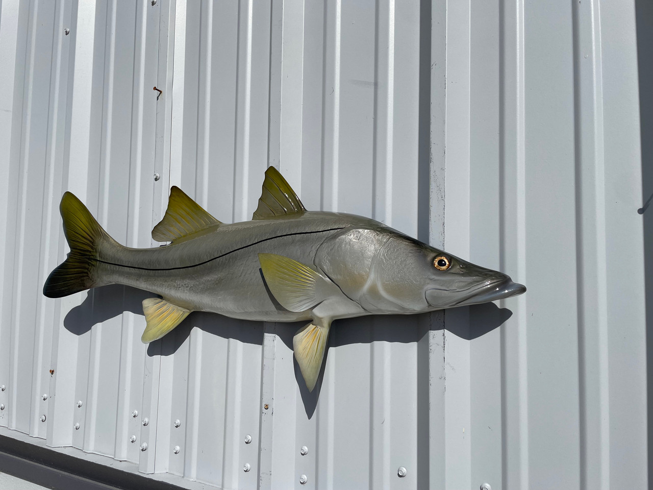 39 Inch Snook Half Sided Fish Mount Replica