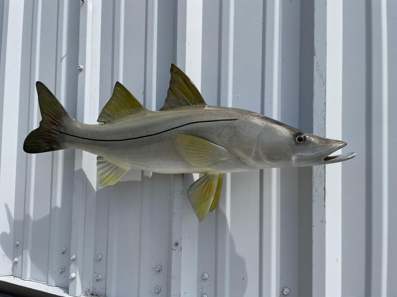 31 Inch Snook Mount 31 Inch Snook Full Mount