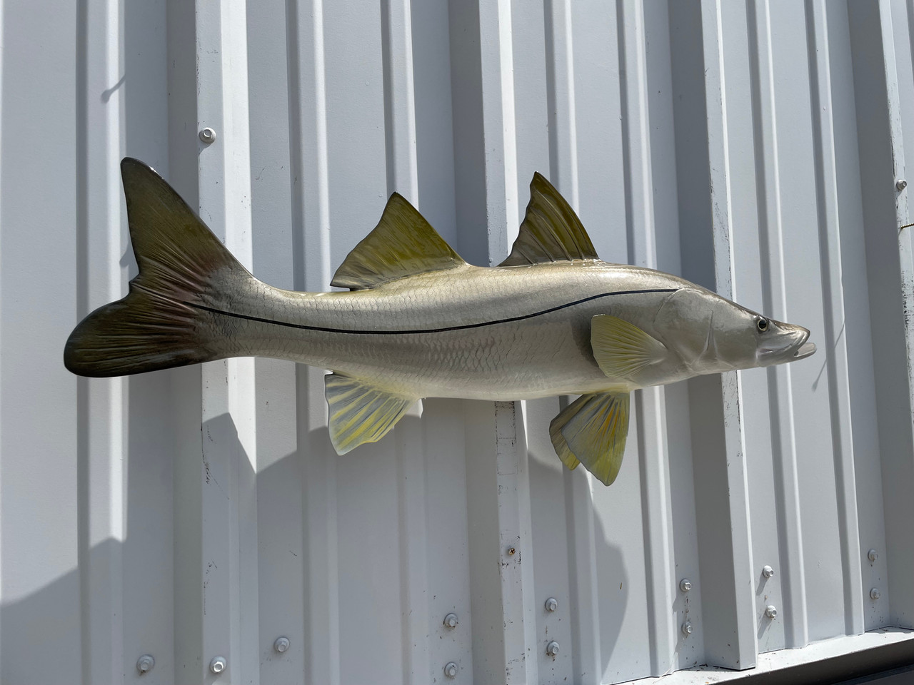 31 Inch Snook Mount 31 Inch Snook Full Mount