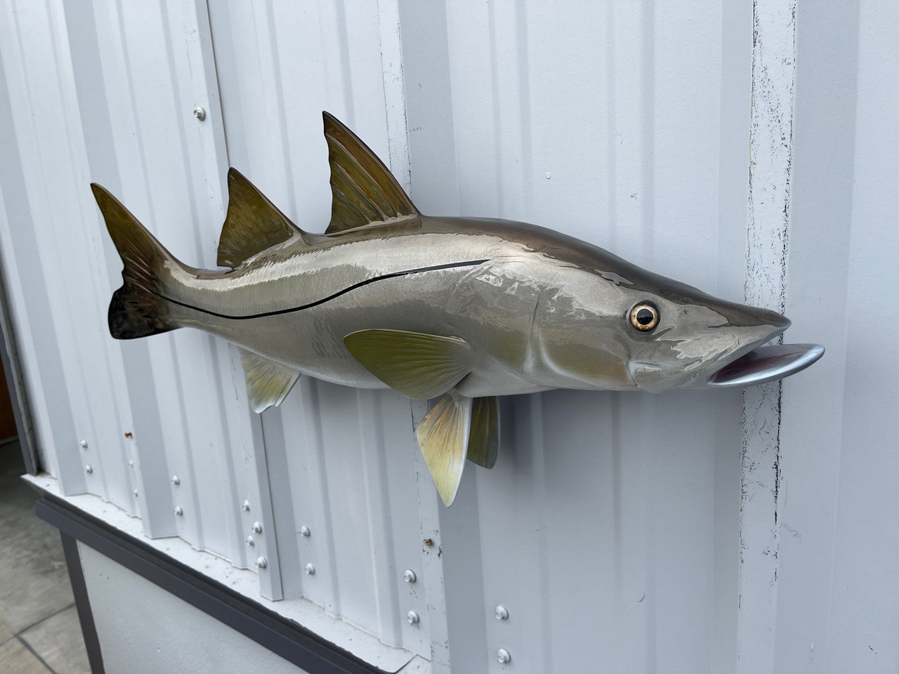 31 Inch Snook Fish Mount For Sale, 31 Inch Snook Fish Replica For Sale