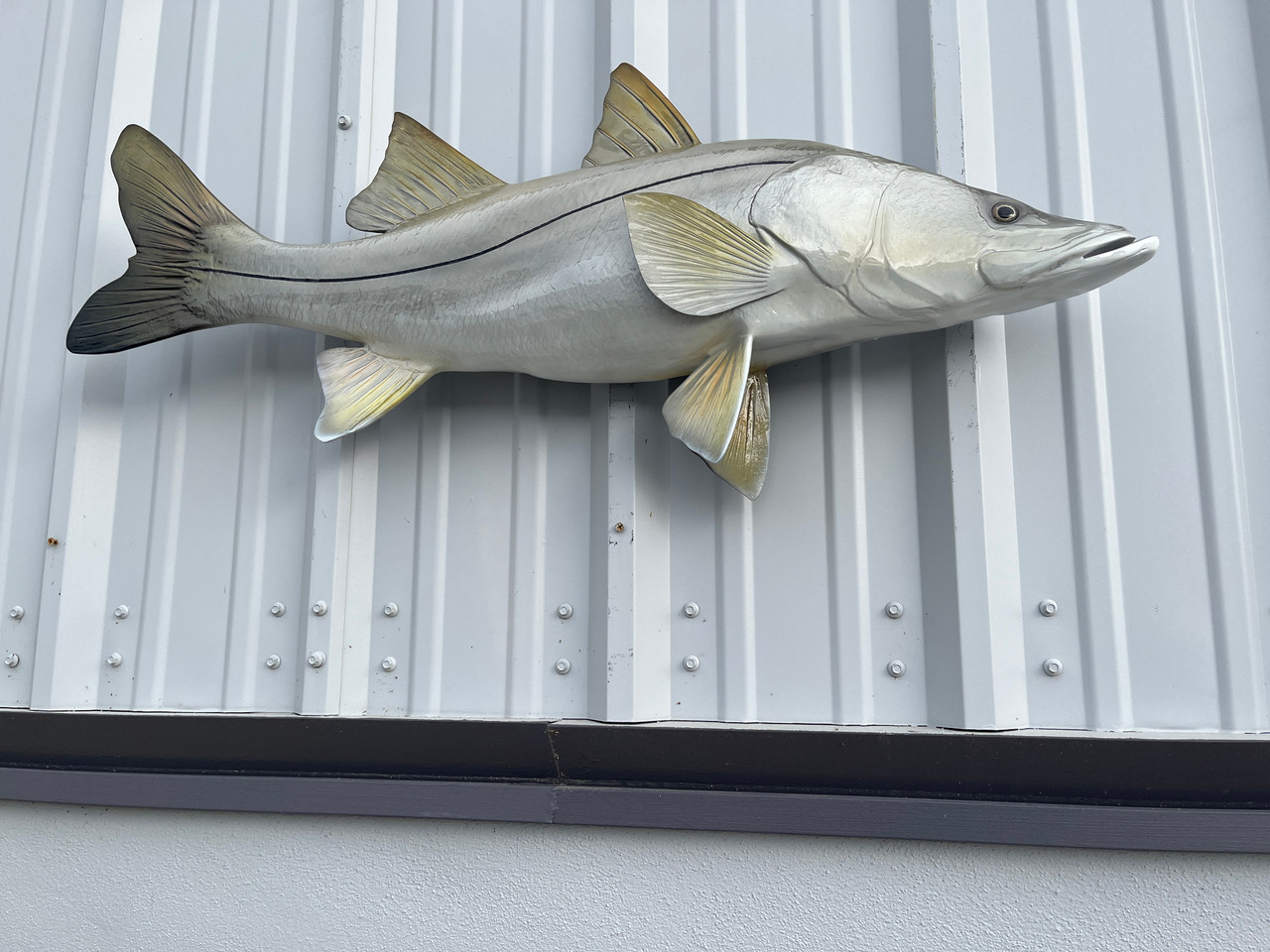 39 inch Snook Fish Mount Replica