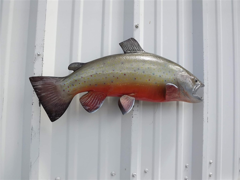 24 Inch Brook Trout Fish Mount Replica Reproduction For Sale