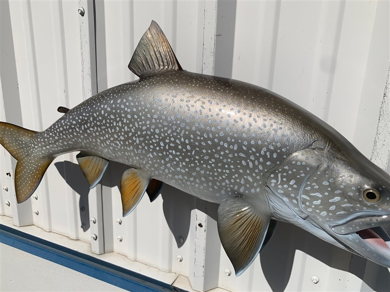 33 Inch Lake Trout Fish Mount Replica Reproduction For Sale