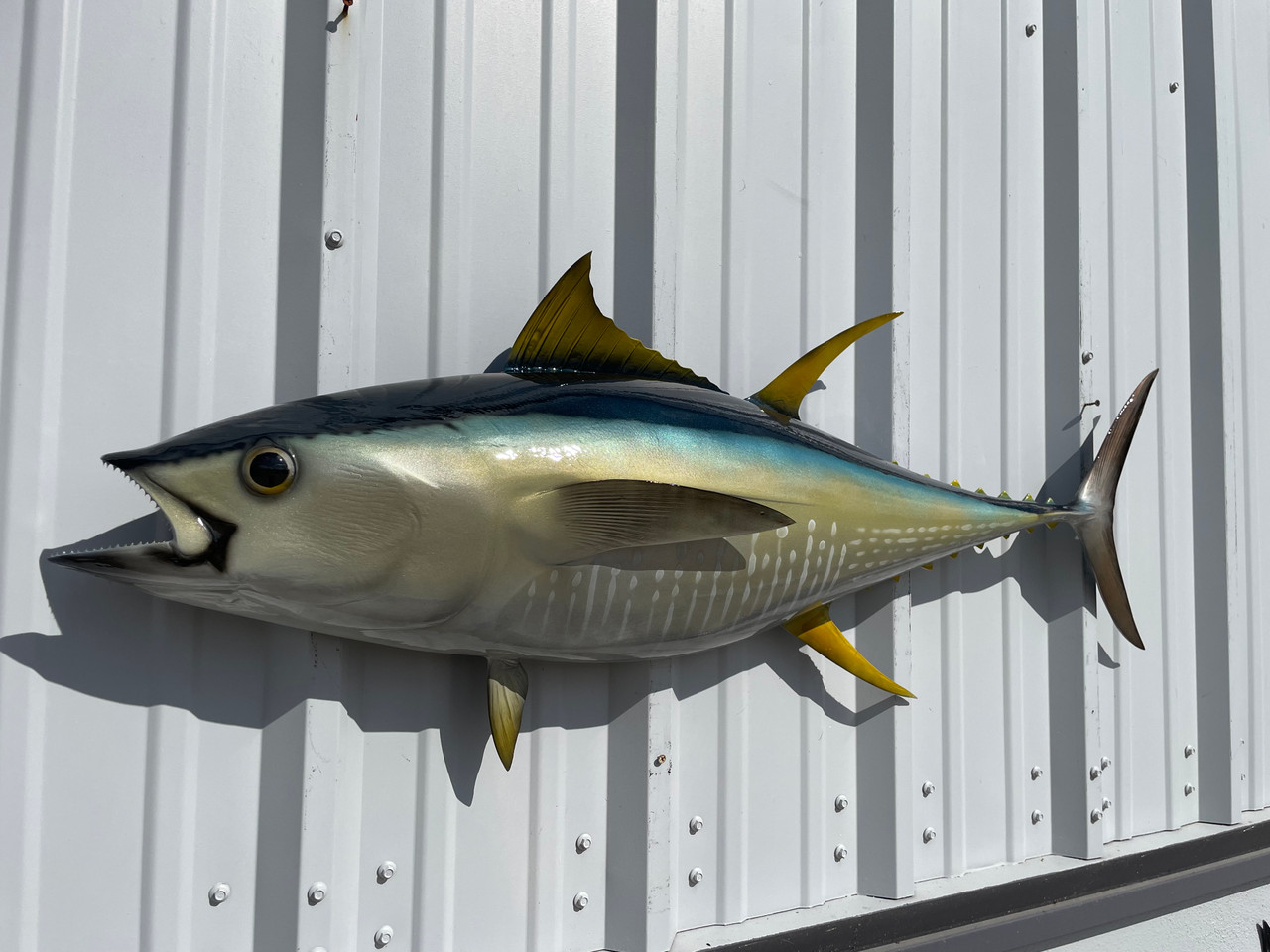 46 Inch Yellowfin Tuna Half Sided Fish Mount Replica