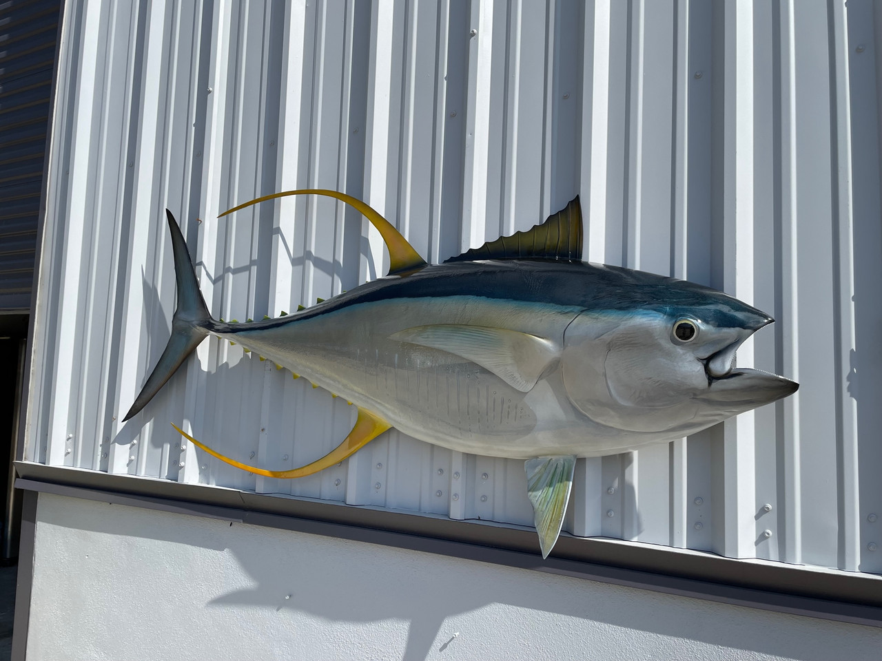 72 Inch Yellowfin Tuna Half Sided Fish Mount Replica