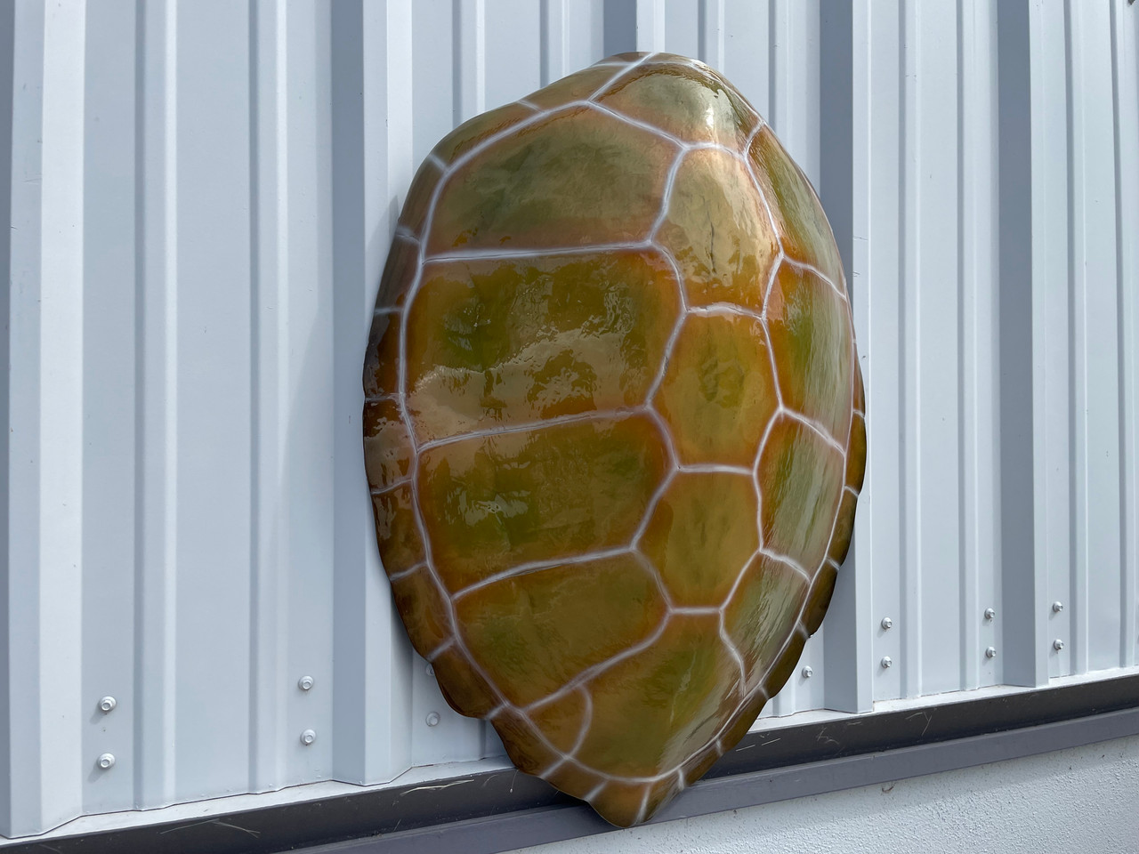 32 Inch Green Turtle Shell Half Mount Green Turtle Shell Half Sided Replica