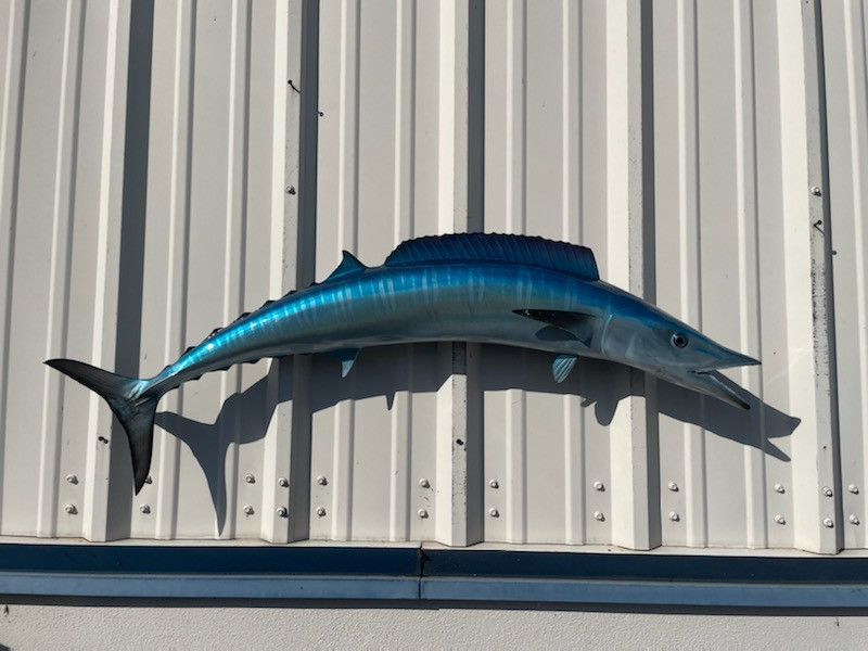 45 Inch Wahoo Two Sided Wall Mount Fish Replica
