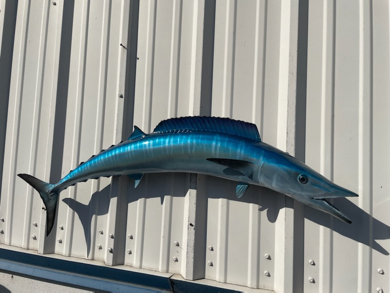 45 Inch Wahoo Fish Mount Replica Reproduction For Sale