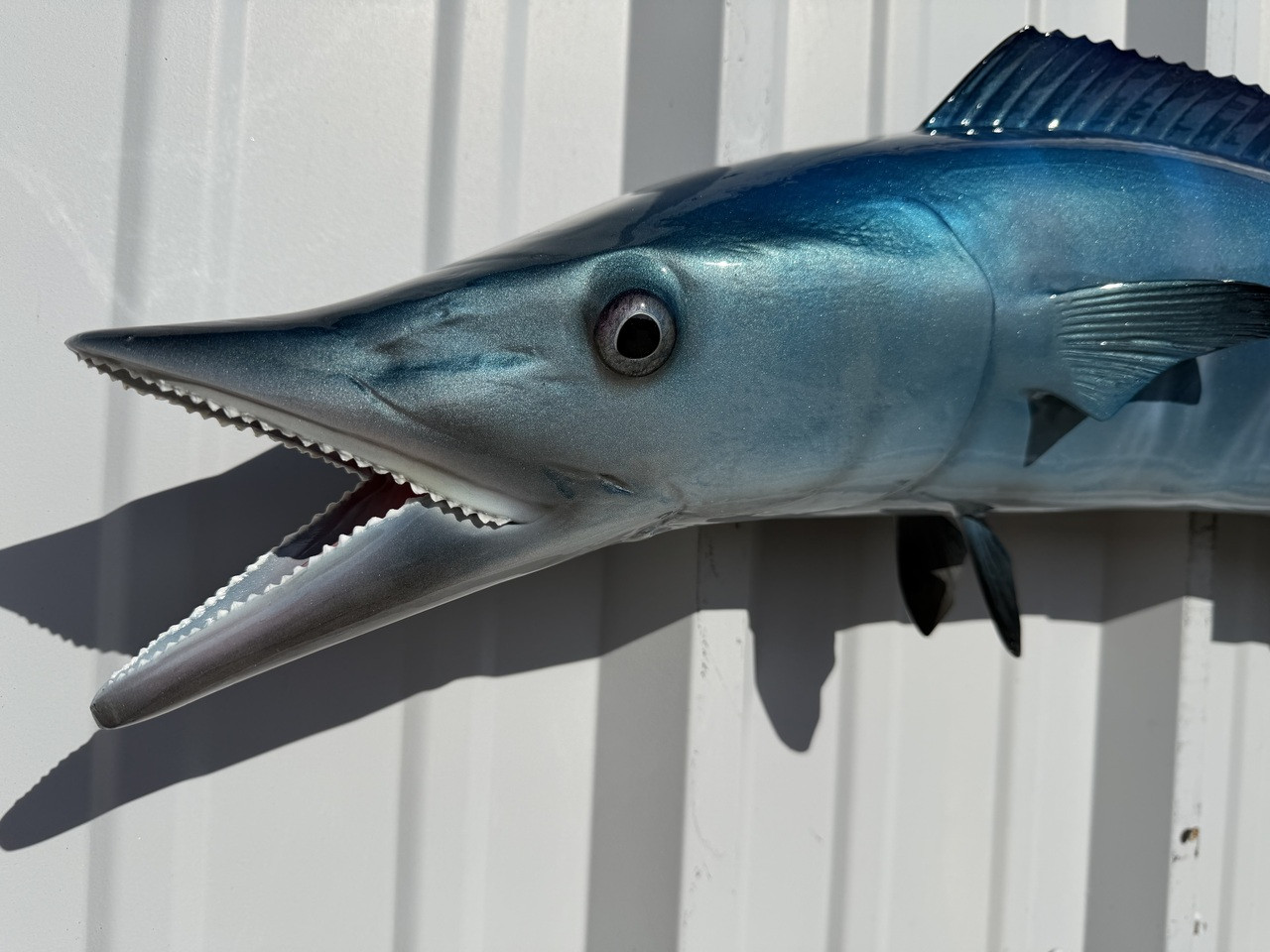 48 Inch In Stock Wahoo Fish Mount | 48 Inch Wahoo Fish Replica For Sale ...