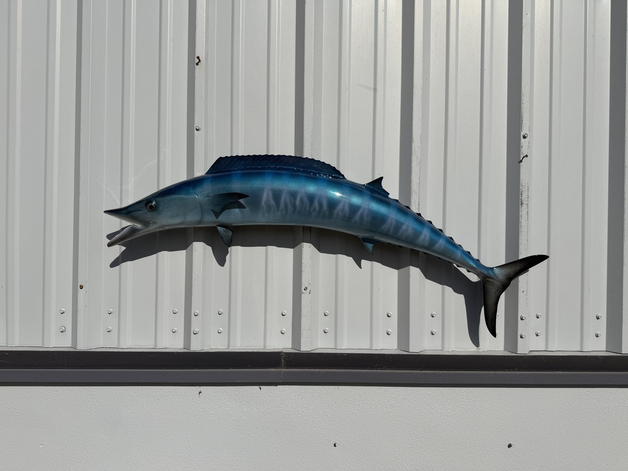 48 Inch In Stock Wahoo Fish Mount | 48 Inch Wahoo Fish Replica For Sale ...