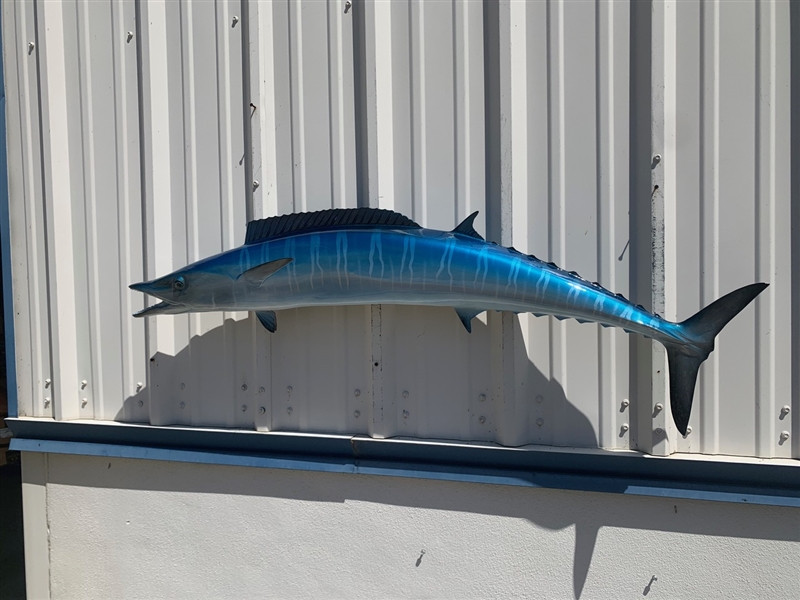54 Inch Wahoo Fish Mount Replica Reproduction For Sale