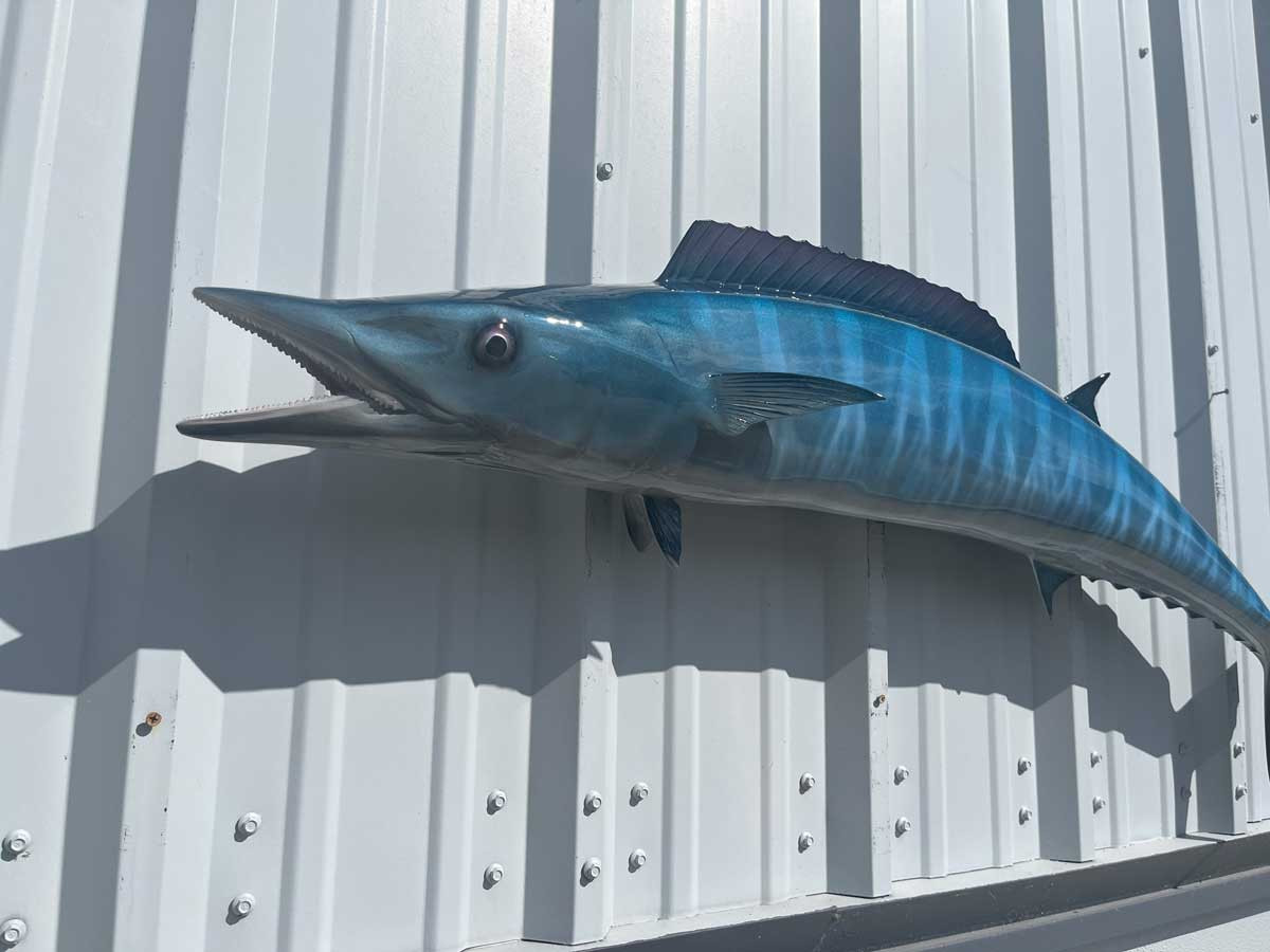 54 Inch Wahoo Full Mount Fish Replica In Stock