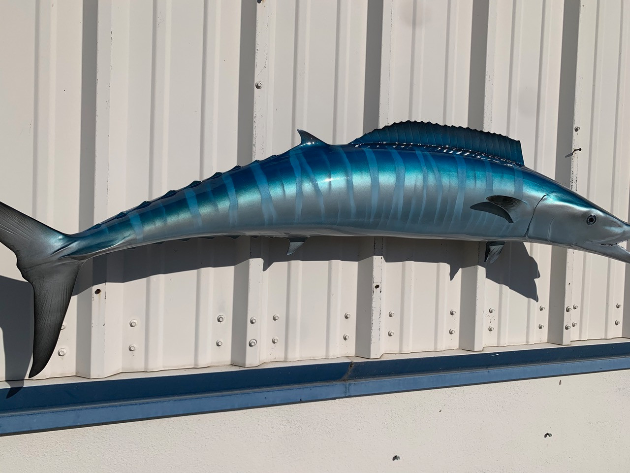 58 Inch Wahoo Two Sided Wall Mount Fish Replica