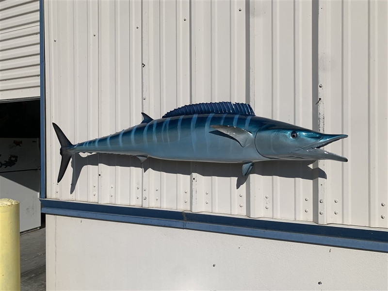 63 Inch Wahoo Full Mount Fish Replica by Mount This Fish Company 63 ...