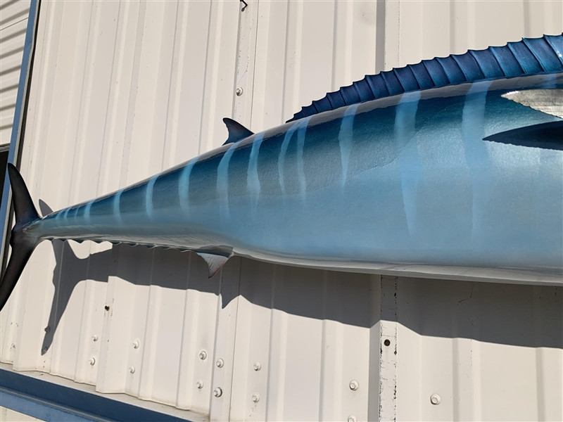 63 Inch Wahoo Two Sided Wall Mount Fish Replica
