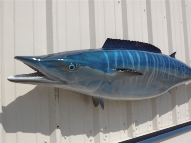 78 Inch Wahoo Two Sided Wall Mount Fish Replica