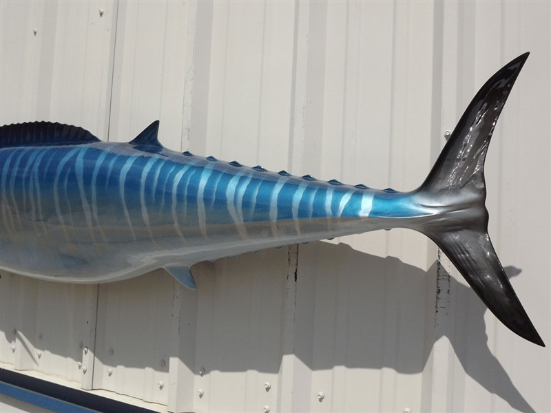 78 Inch Wahoo Fish Mount Replica Reproduction For Sale
