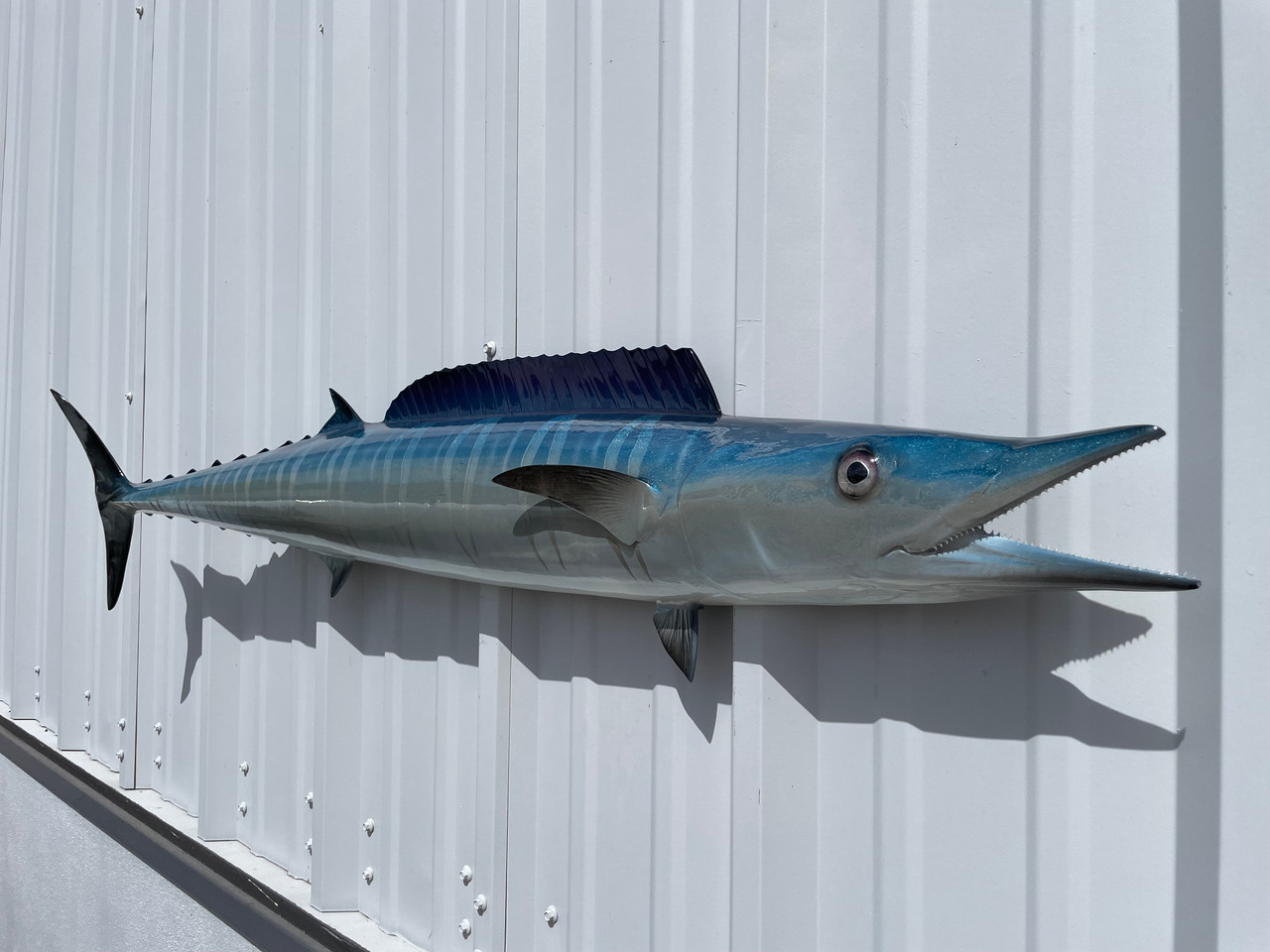 53 Inch Wahoo Half Mount Wahoo Half Sided Fish Replica
