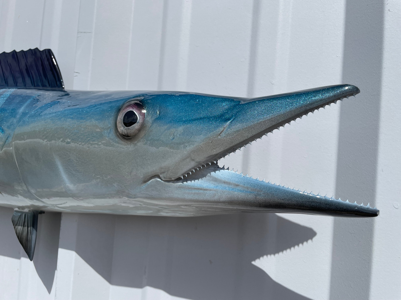 53 Inch Wahoo Half Mount Wahoo Half Sided Fish Replica