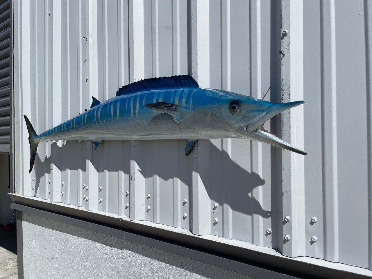 58 Inch Wahoo Half Sided Fish Mount Replica