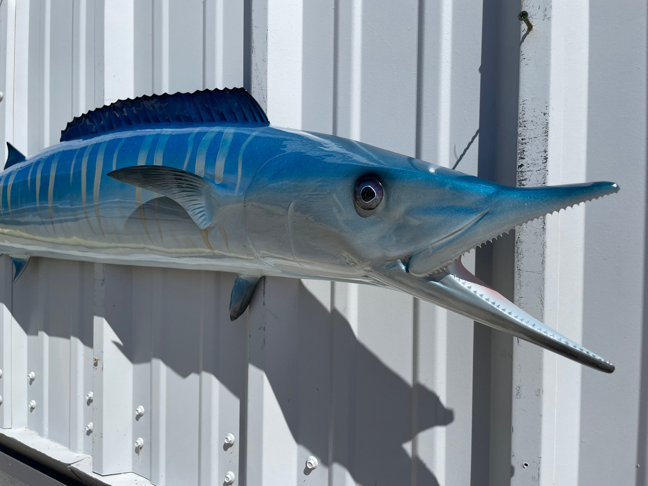 58 Inch Wahoo Half Sided Fish Mount Replica