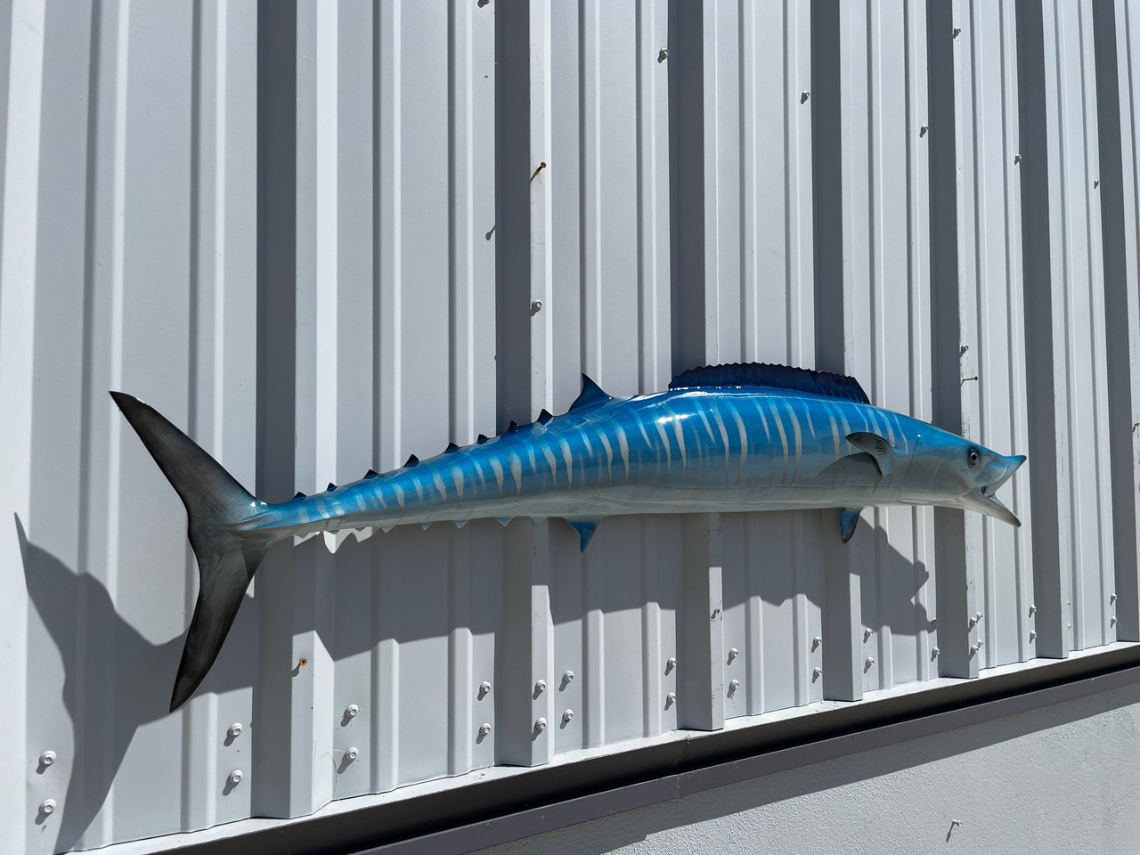 58 Inch Wahoo Half Sided Fish Mount Replica