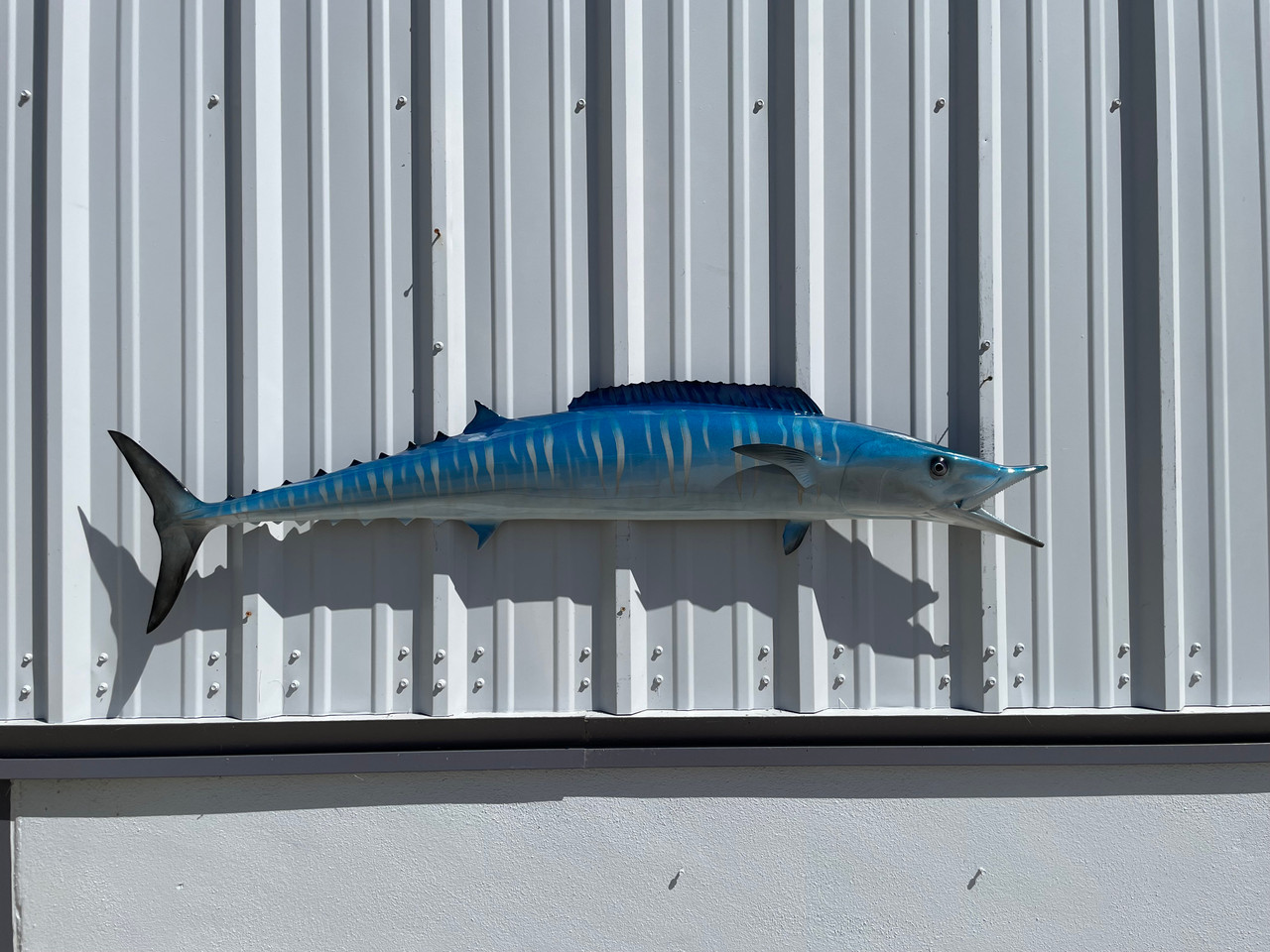 58 Inch Wahoo Half Sided Fish Mount Replica