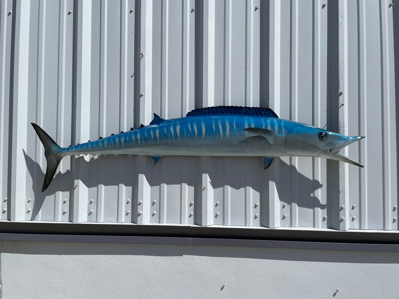 58 Inch Wahoo Half Sided Fish Mount Replica