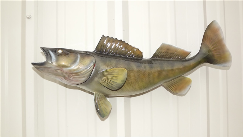 Walleye Mount Trophy Fish Replicas Mount This