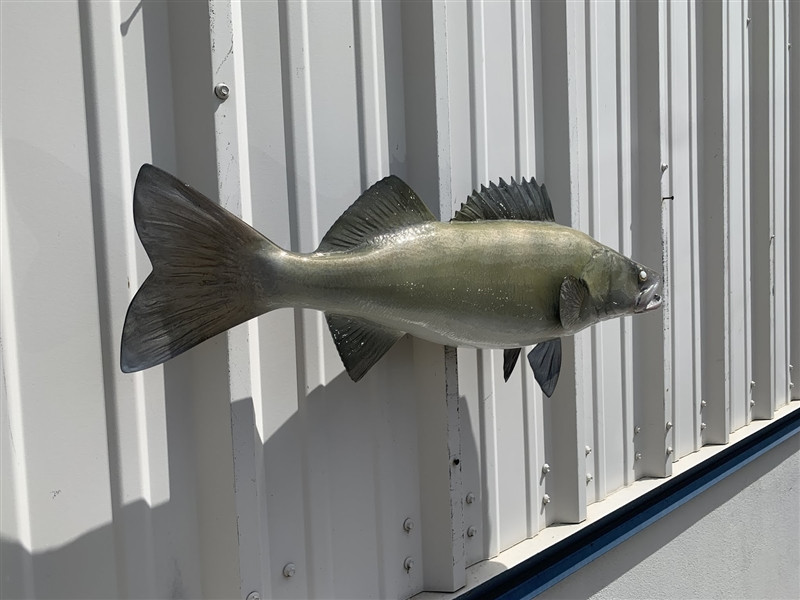 Walleye Fish Mount Two Sided Wall Mount Fish Replica - 30 Inches
