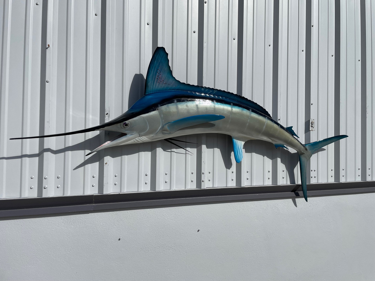 87 Inch White Marlin Fish Mount Replica
