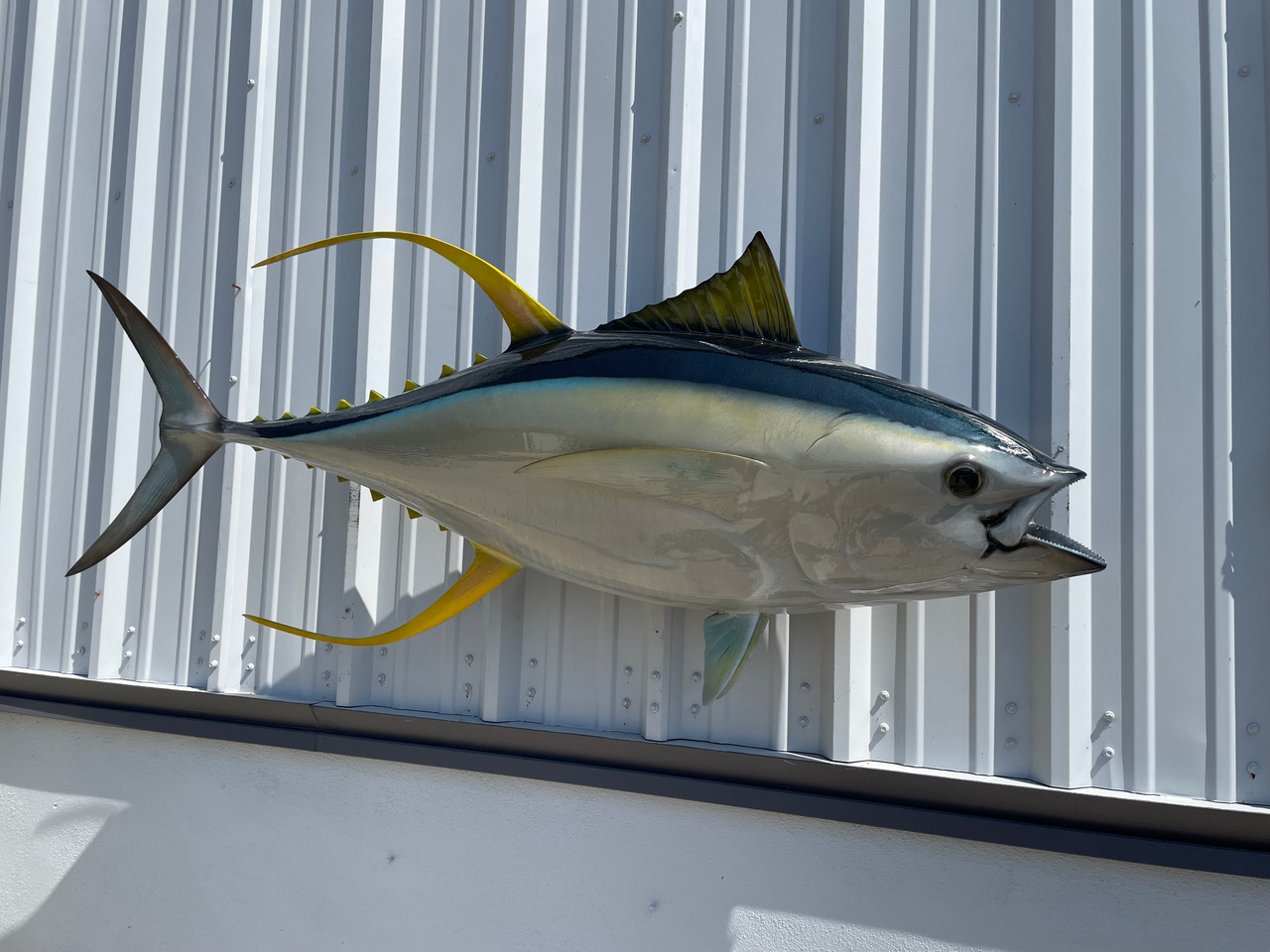 67 Inch Yellowfin Tuna Two Sided Wall Mount Fish Replica