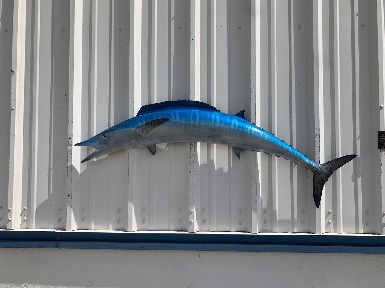 53 Inch Wahoo Left Down Curve Half Mount Wahoo Half Sided Fish Replica