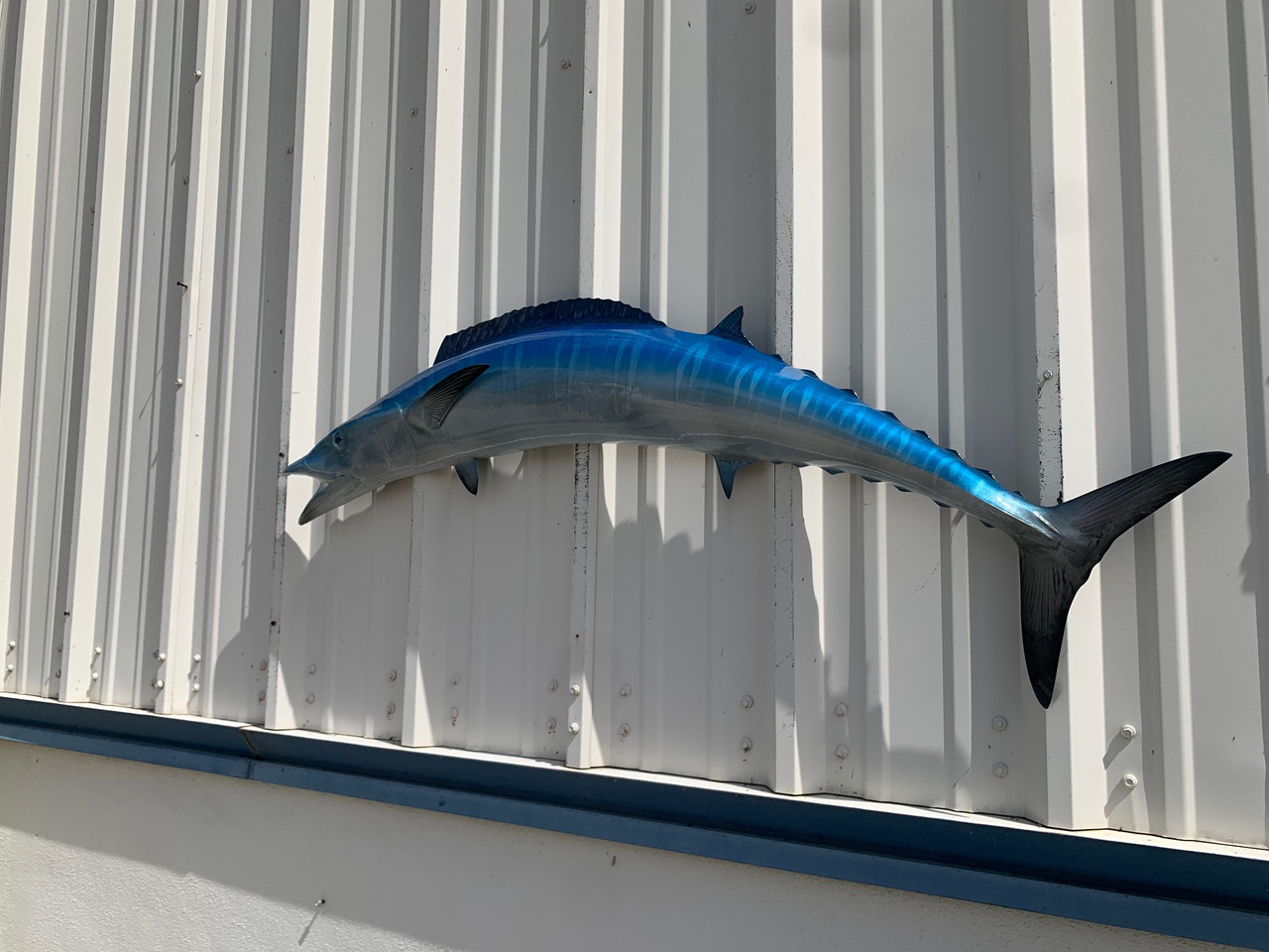 53 Inch Left Facing Wahoo Half Sided Fish Mount Replica Reproduction