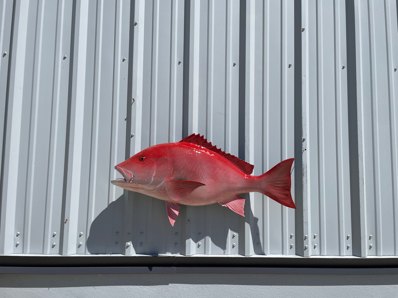 36 Inch Red Snapper Fish Mount Replica Reproduction For Sale
