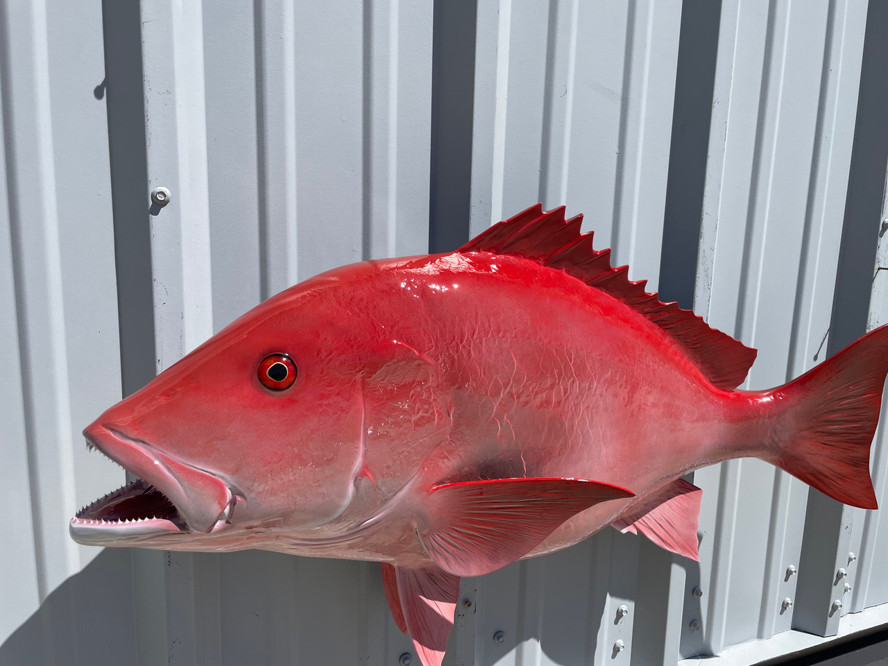 36 Inch Red Snapper Fish Mount Replica Reproduction For Sale