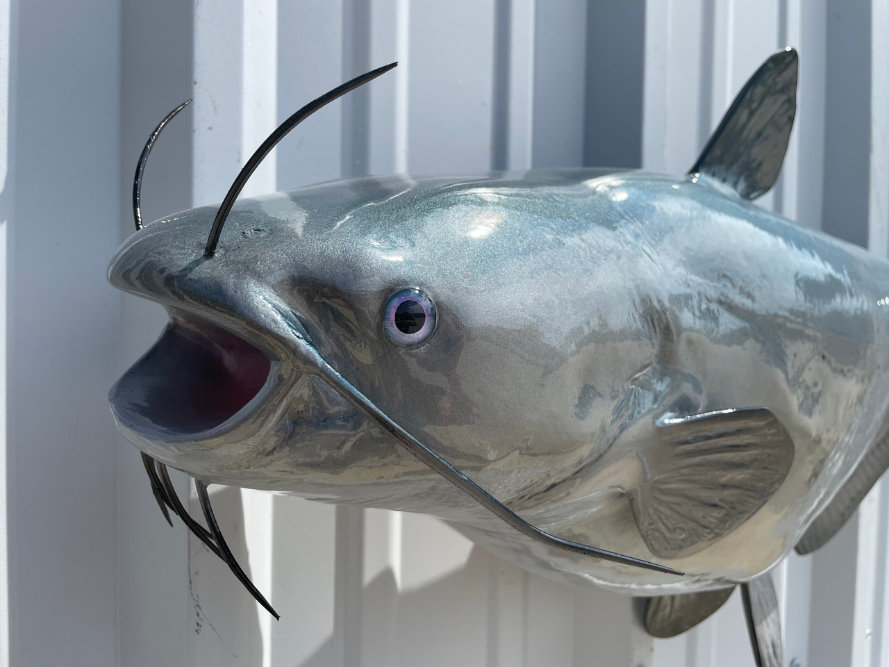 34 Inch Blue Catfish Fish Mount Replica Reproduction For Sale