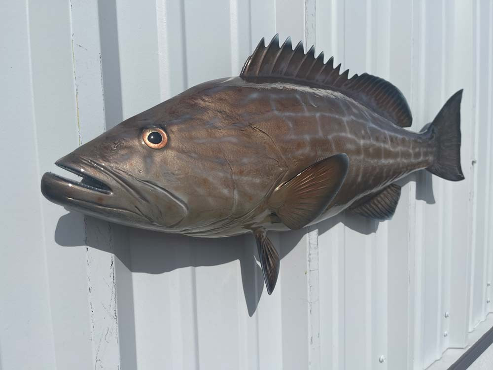 32" Black Grouper Half Mount - Realistic Fish Replica | Mount This Fish Co