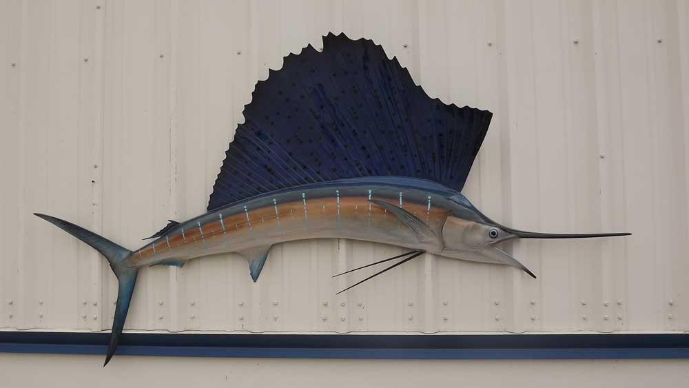 Big Game Half Mount Combo Package by Mount This Fish